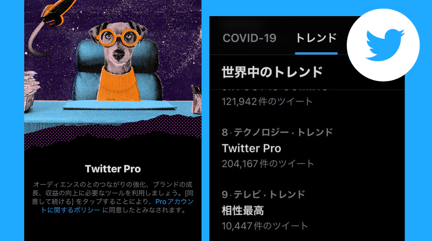 Twitter Proが世界中のトレンド入り！Twitter Proとは？プロフェッショナルプロフィール公開開始！ツイッター/SNSビジネス ...